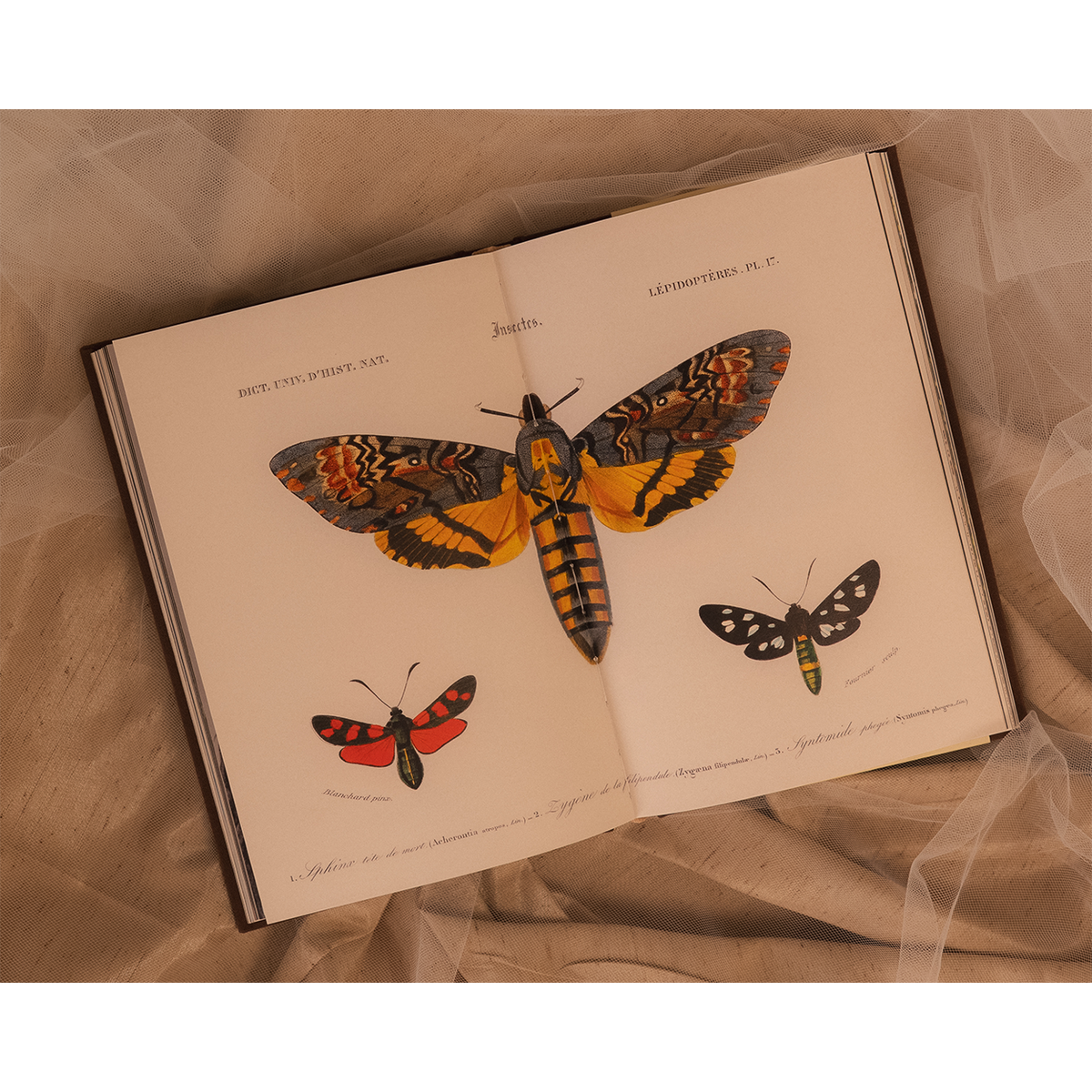 All My Demons Greeting Me as a Friend Book - Complete Bundle - Aurora