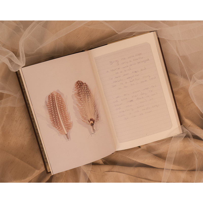 All My Demons Greeting Me as a Friend Book - Complete Bundle - Aurora