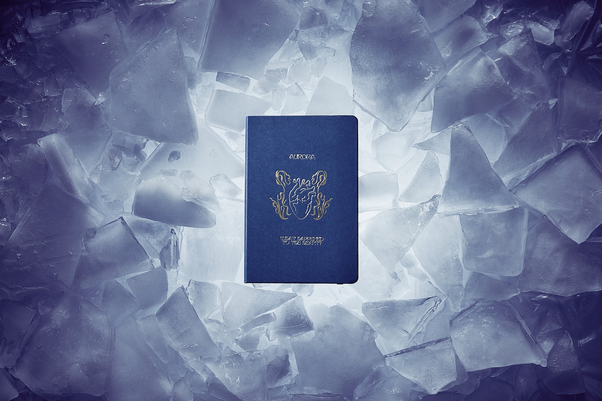 What Happened To The Heart? Journal - Aurora