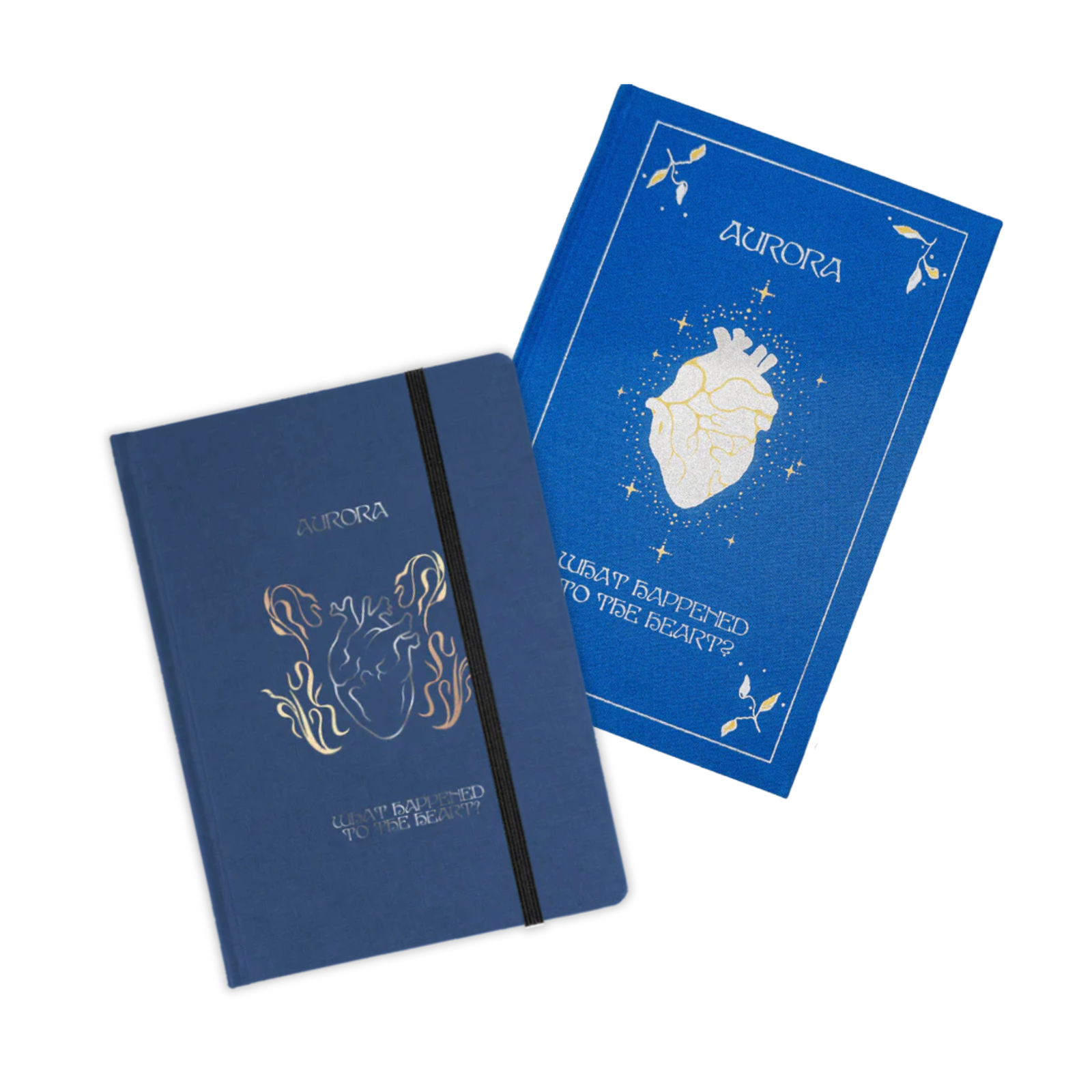 Winter Warrior Writers Bundle - Aurora